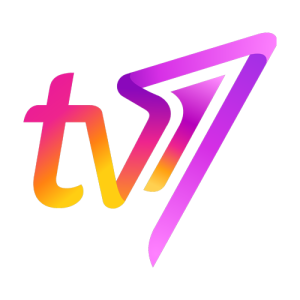 Stein Studios – Where dreams come true